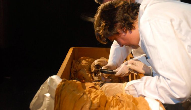 Egyptian Mummies Facts: The Most Interesting facts in 2026